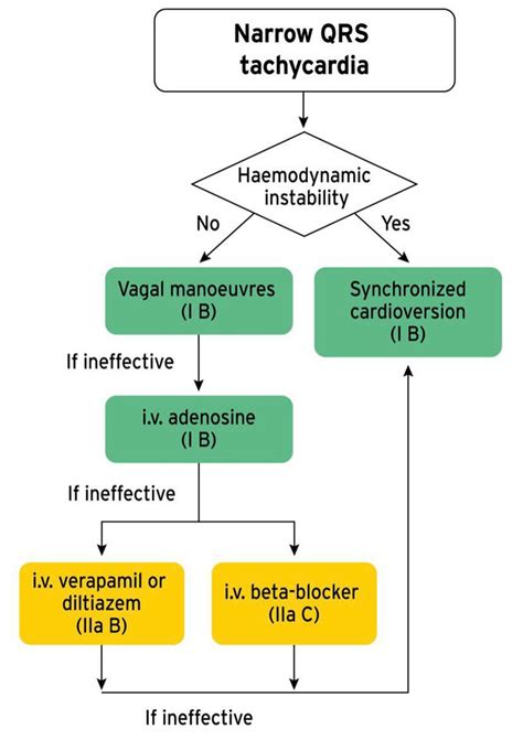 Narrow Qrs Tachycardia Treatment Algoritm Medizzy