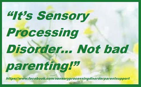 Sensory Processing Disorder Quotes Quotesgram