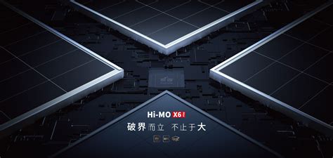 Hi Mo X6 Max 光伏组件 隆基绿能