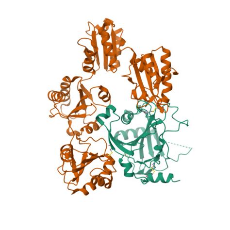 Rcsb Pdb 7zsc Crystal Structure Of The Heterodimeric Human C P4h Ii With Truncated Alpha
