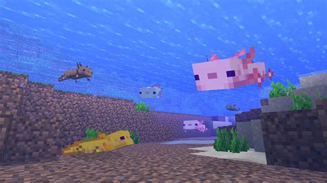 How To Catch A Fish In Minecraft