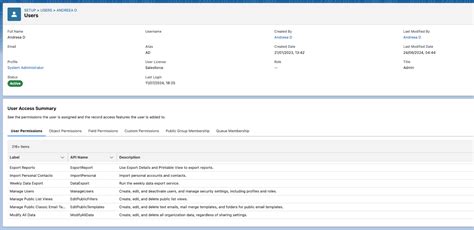 Crucial Salesforce Permissions You Should Not Assign To Users Salesforce Ben