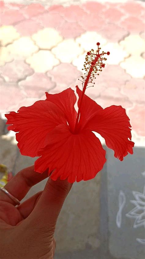 Vaishnavi Pardeshi On Linkedin Always Stay Happy😊 ️ And Healthy😇🥳