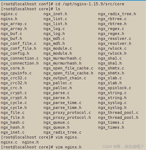 优化nginx：隐藏版本、权限设置与防盗链策略 Csdn博客