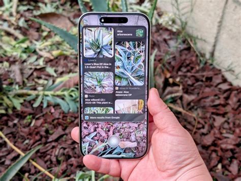 How To Use Visual Intelligence On Your Iphone With Ios 18 2 Digital Trends