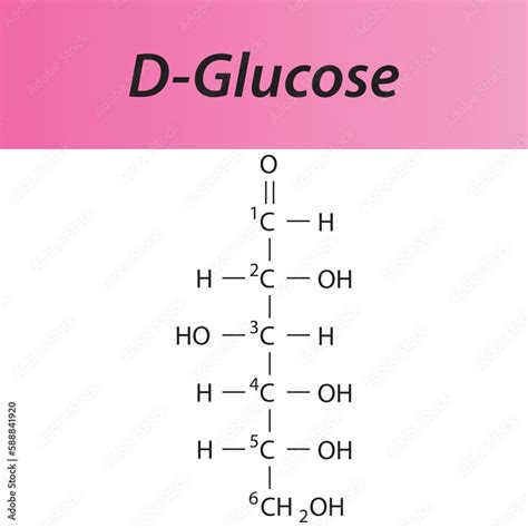 Straight Chain Form Chemical Structure Of D Glucose Sugar Scientific Vector Illustration On