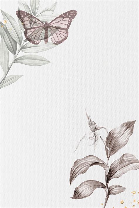 Butterfly Background Images Free Iphone And Zoom Hd Wallpapers