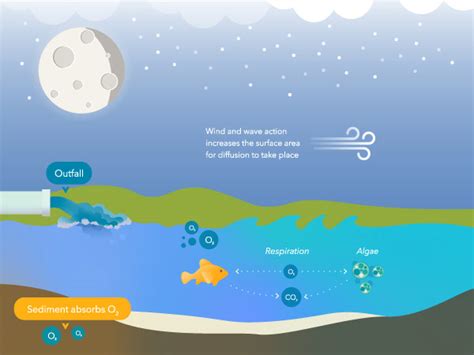 Dissolved Oxygen Measurement Dissolved Oxygen Meter DO Meters Sensors
