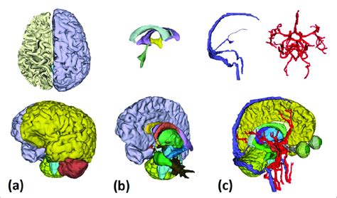 Brain Structures Segmentation A Brain Structure Segmentation Using Download Scientific