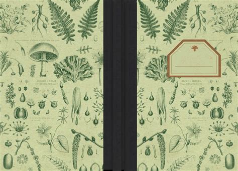 Notebook Cover Graph Paper Free Photo On Pixabay Pixabay