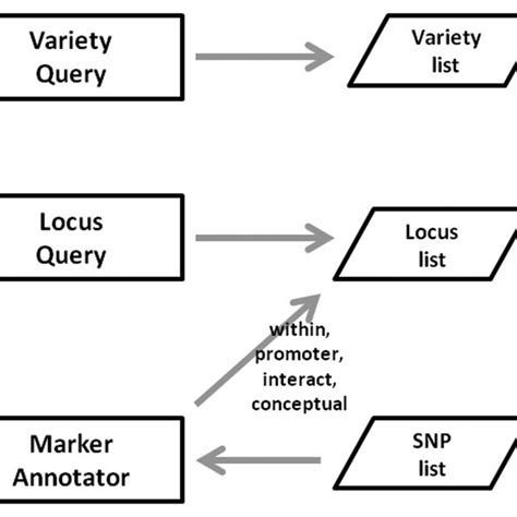Accessing The Same Hdf5 File Using Both The Python And R Scripting