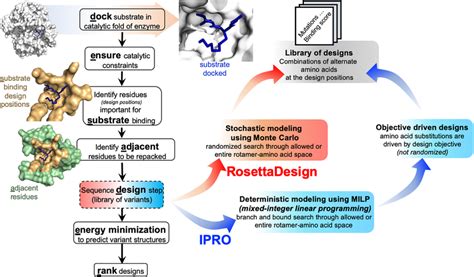 the seven‐step desader schematic overview of enzyme redesign download scientific diagram