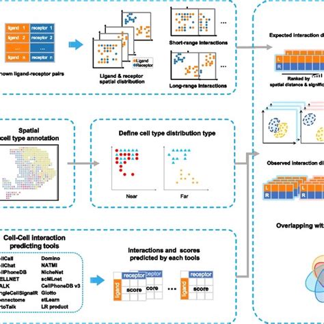Schematic Overview Of Evaluation Workflow First Generate Known Download Scientific Diagram