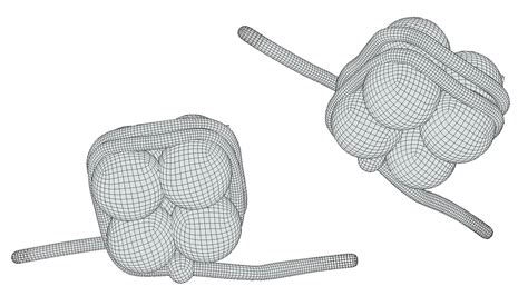 Histone Structure 3d Model Turbosquid 2128642