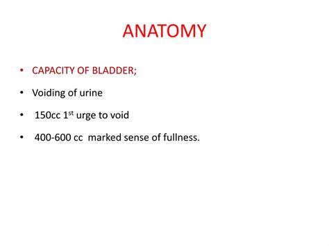 Urinary Bladder Innervation And Syndromes Pptx
