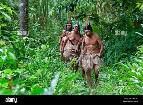 Povo Nativo Da Costa Rica Baldwin100 A Obra Prima De Não Ficção