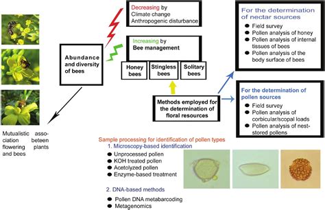 Methods Employed In The Determining Nectar And Pollen Sources For Bees A Review Of The Global