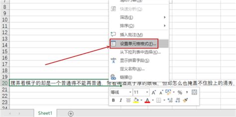 excel文字自动换行 新知