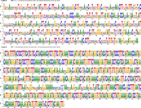 Nucleotide Associations In The Alignments Of 20 Amplified Sequences Download Scientific Diagram