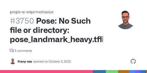 Pose No Such File Or Directory Poselandmarkheavytflite · Issue