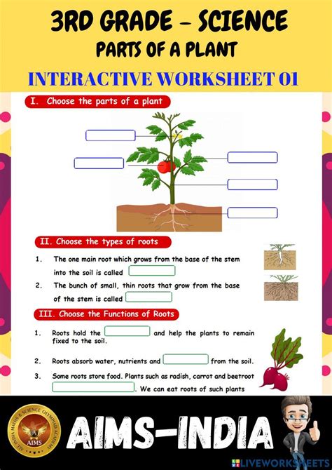 3rd Science Ps01 Parts Of A Plant Worksheet Worksheets Library