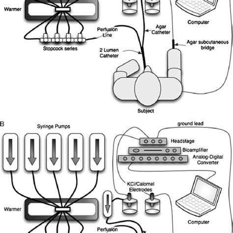 Schematic Of The Nasal Potential Difference Apparatus Nonperfusion