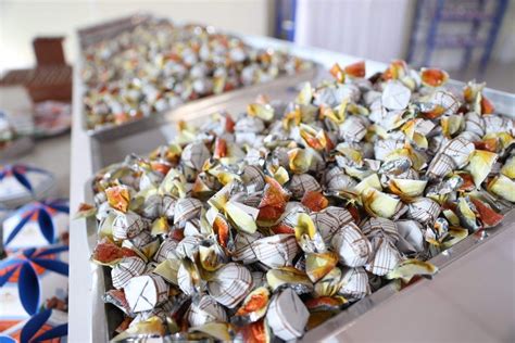 Монгол Улсын Ерөнхийлөгч У Хүрэлсүх үндэсний үйлдвэрлэгч аж ахуйн нэгжүүдэд ажиллаж байна