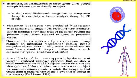Theories Of Object Recognition Psychology