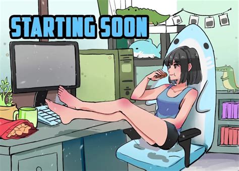 Create Lofi Animated Loop Video Brb Starting Soon Offline Screen For Stream By Arek Design