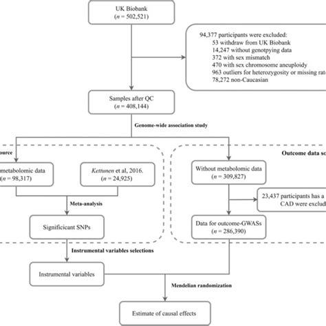 Flowchart Of The Analytical Populations Genetic Variants For