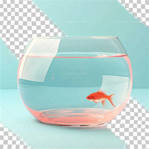 تصویر با کیفیت تنگ ماهی قرمز بدون زمینه طرح پلاس