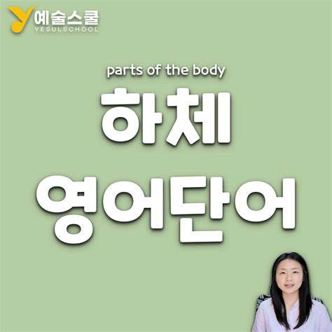신체부위 우리 몸 관련 영어 단어 눈코입 손 발 팔 다리 머리 몸통 상체 하체 영어로 네이버 블로그