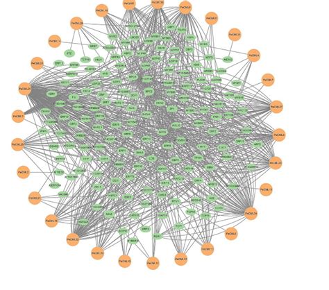 Genome Wide Identification And Expression Analysis Of Calmodulin And