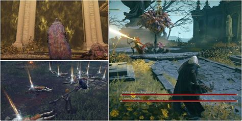 Best Randomizer Mods For Elden Ring