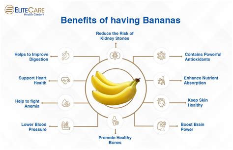 The Remarkable Health Benefits Of Bananas Nutrients Vitamins