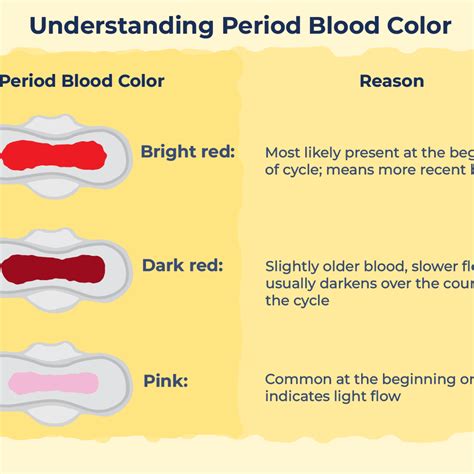 Why Does My Period Stop For A Few Hours And Start Again Leslee Arndt