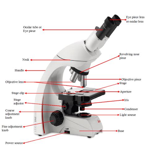 FUNCTIONS OF THE PARTS OF A MICROSCOPE Microbiology Class