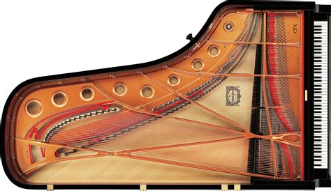 The Structure Of The Pianolets Learn The Names Of Parts Musical