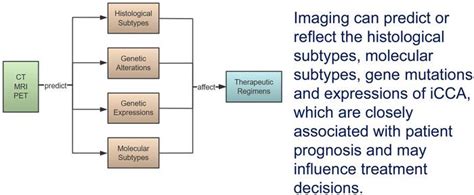 Molecular And Histological Profiles And Relevant Imaging Signatures Of Intrahepatic