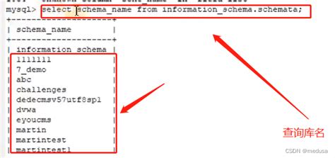 1 2sql注入篇之information schema数据库利用 sql使用information schema表 csdn博客