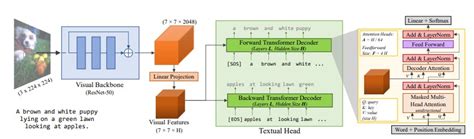 Vision Language Models Ai Course