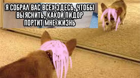 Моц опускает Magic The Gathering подкаст от тульпы 3 Youtube