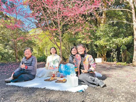 草嶺石壁櫻花季 雲縣規畫4線接駁 雲嘉南 地方 聯合新聞網