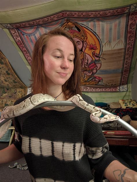 They Say These Guys Arent Climbers But I Cant Keep Morpheus Off Of Things Rballpython