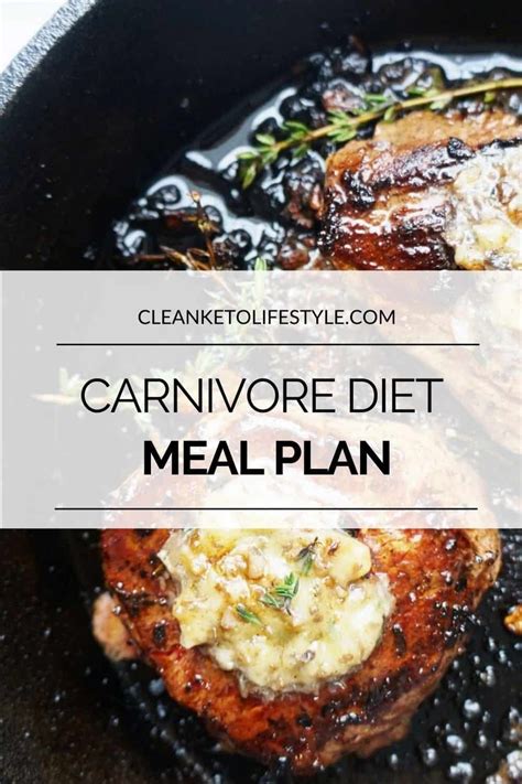 Carnivore Diet Meal Plan For Beginners Artofit