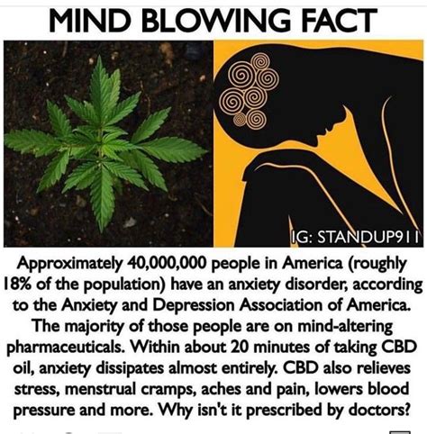 Sexing Cannabis How To Tell The Difference Between Young Male Vs Female