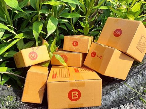 20ใบ แพ็ค กล่องไปรษณีย์ ฝาชน เบอร์ 0 มีพิมพ์จ่าหน้า ขนาด 11x17x6 Cm Th