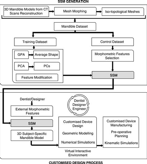 Statistical Shape Model Generation Workflow And Its Integration Within Download Scientific