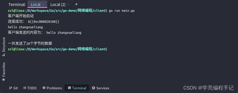 Golang Net包tcp网络编程代码示例：发送接收数据golang Tcp客户端发送651 Csdn博客