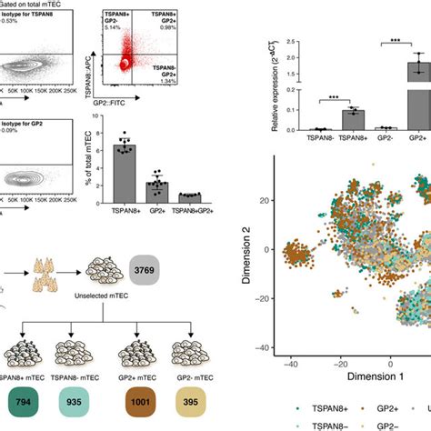 Deep Transcriptome Analysis At Single Cell Resolution Of Thousands Of Download Scientific
